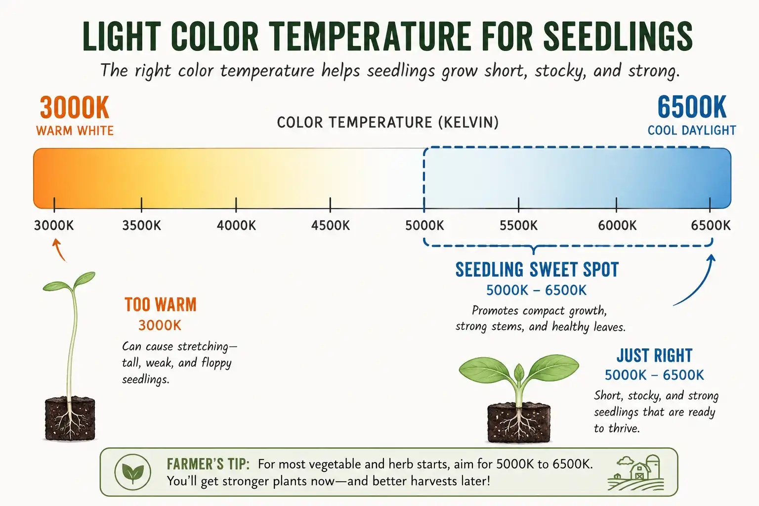Best Grow Lights for Seedlings: 10 Top Picks Ranked for 2026